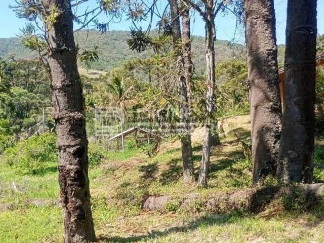 Terreno plano com riacho
