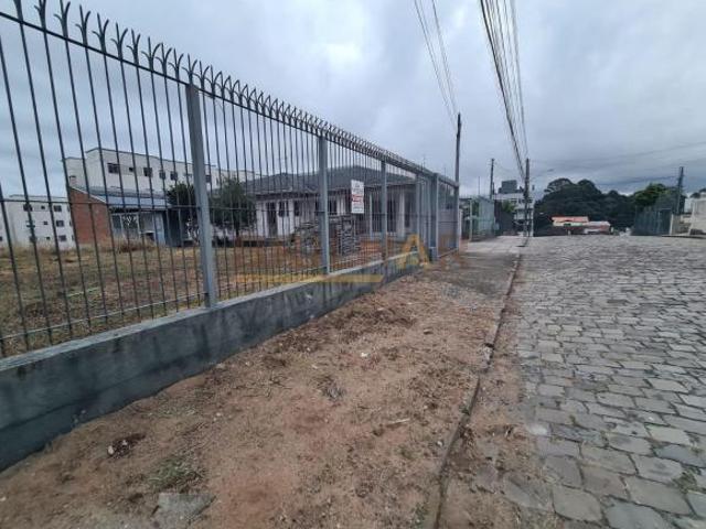 Terreno plano comprar bairro Bela Vista