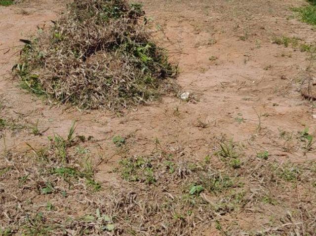 Terreno plano condominio Granvile Sao Venancio Itupeva