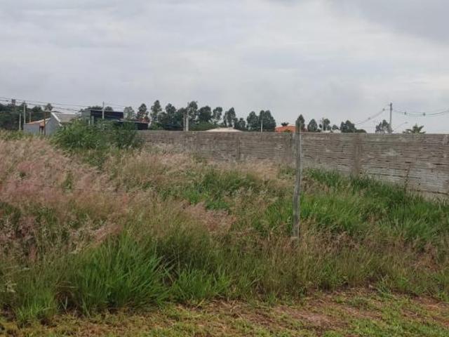 Terreno plano de 250 metros pronto para construir no Jardim Paulista I