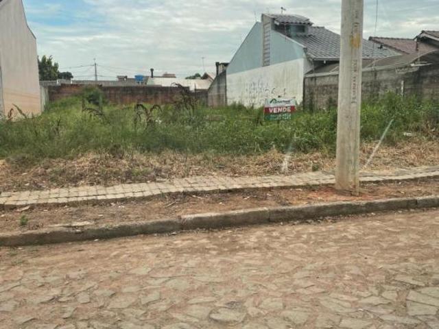 Terreno plano em ótima localização