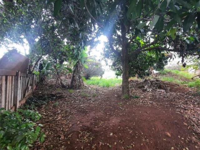 TERRENO PLANO EM ATIBAIA