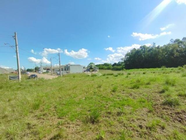 Terreno plano pronto para construir no bairro Aliança