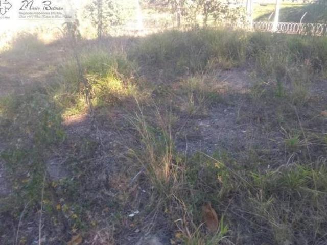 Terreno plano próximo a todo tipo de comércio