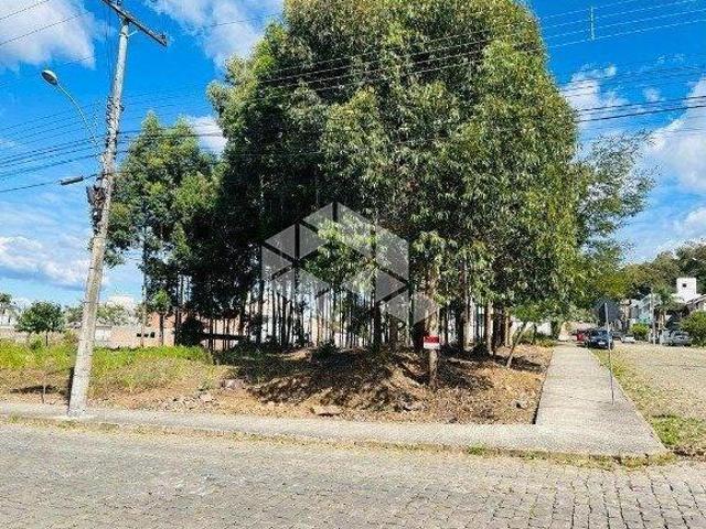 Terreno Plano