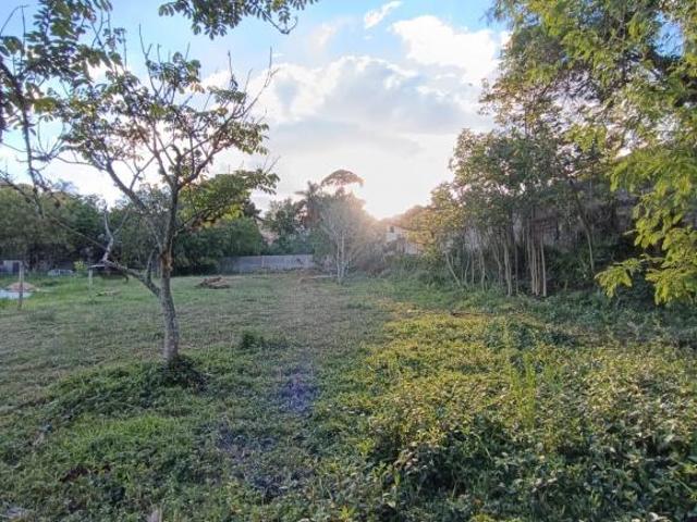 Terreno Plano 2000mts Rua Sem Saída