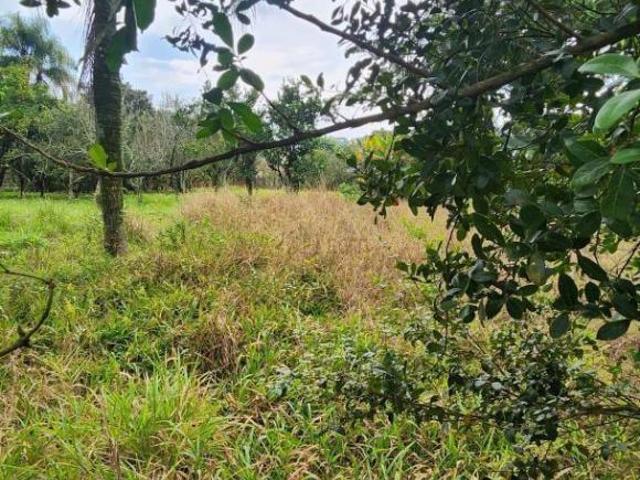 Terreno plano