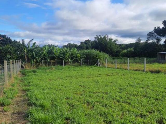 Terreno plano, 50 metros do Asfalto da AmBev!
