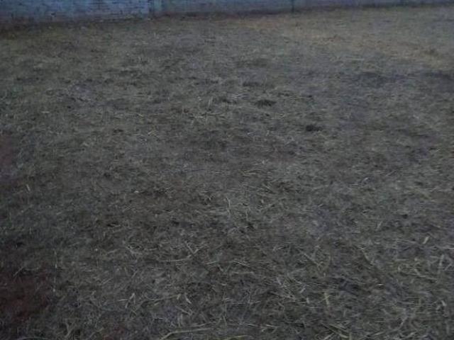 TERRENO PLANO