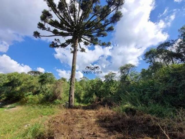Terreno Poço Negro