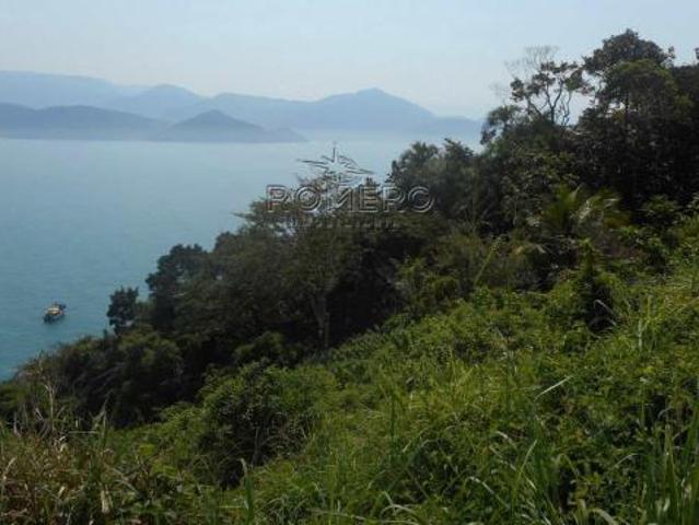 Terreno, Ponta Grossa, Ubatuba R$ 1.2 mi, Cod: 1134