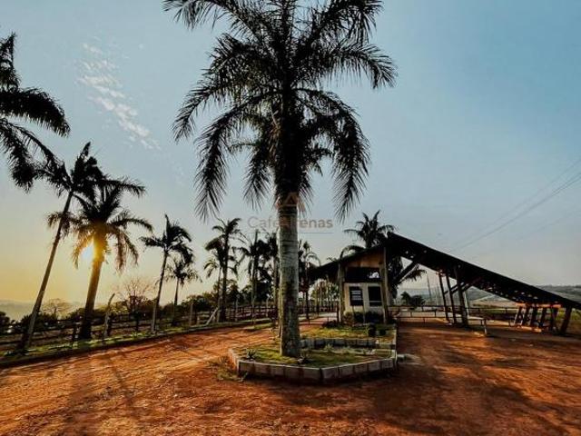 Terreno, Pontal das Amoras, Campos Gerais, MG
