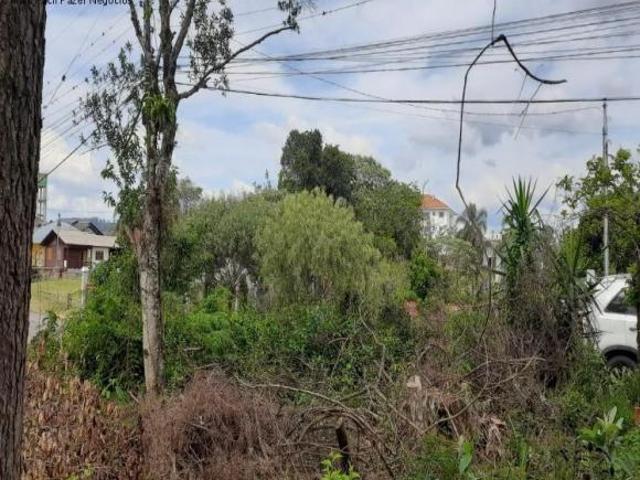 Terreno, Pousada da Neve, Nova Petrópolis, RS