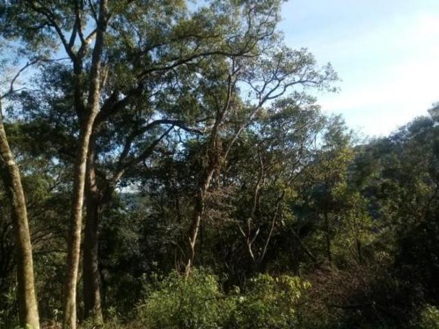 Terreno, Pousada da Neve, Nova Petrópolis, RS