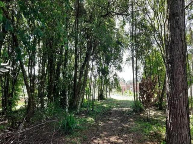 Terreno, Pousada da Neve, Nova Petrópolis, RS
