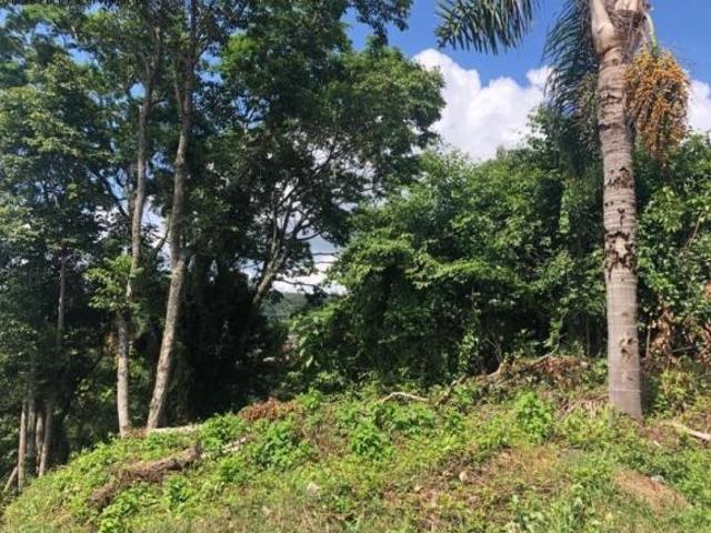 Terreno, Pousada da Neve, Nova Petrópolis, RS