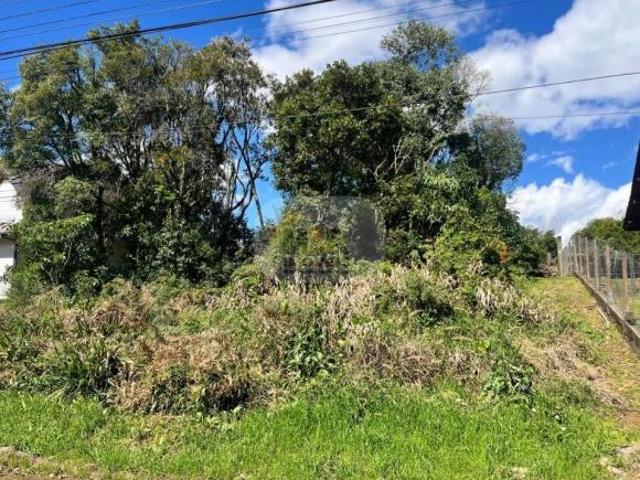 Terreno, Pousada da Neve, Nova Petrópolis, RS