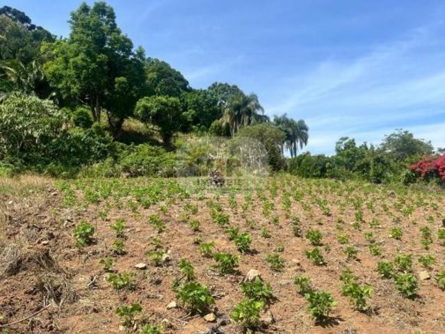 Terreno, Pousada da Neve, Nova Petrópolis, RS