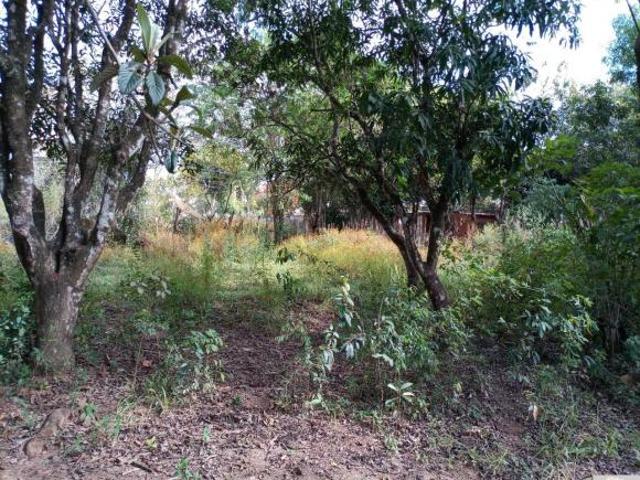 Terreno, Praia, Barroso, MG