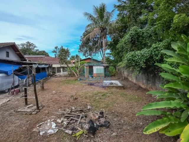 Terreno, Praia da Maranduba, Ubatuba R$ 250 mil, Cod: 2933