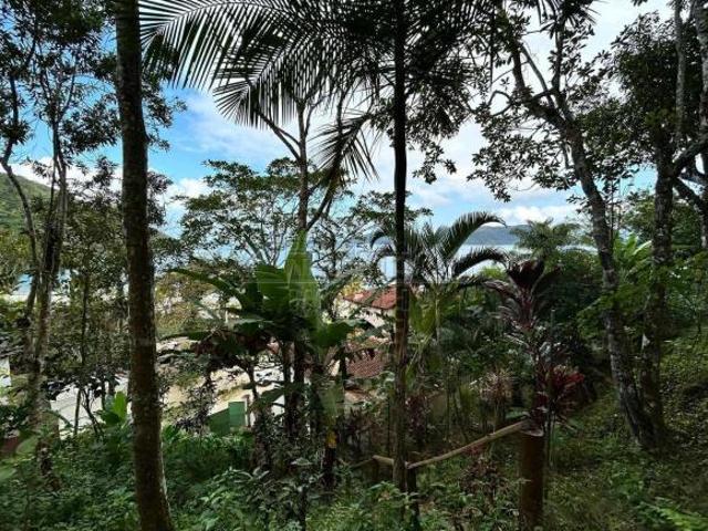 Terreno, Praia da Enseada, Ubatuba R$ 1.2 mi, Cod: 4479