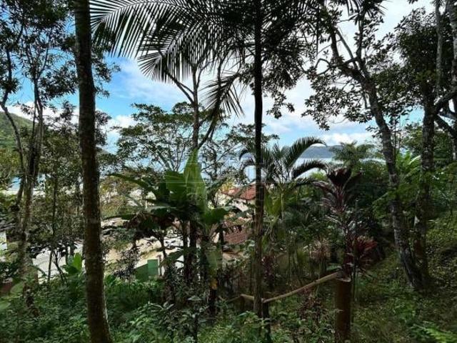 Terreno, Praia da Enseada, Ubatuba R$ 1.2 mi, Cod: 4479