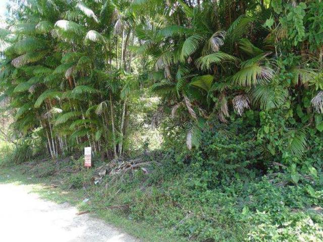 Terreno, Praia da Lagoinha, Ubatuba R$ 500 mil, Cod: 535
