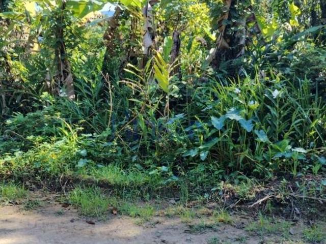 Terreno, Praia de Camburi, Sao Sebastiao, SP