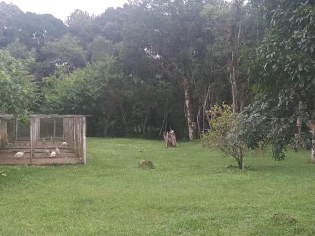 Terreno, Pratas, São Lourenço da Serra, SP