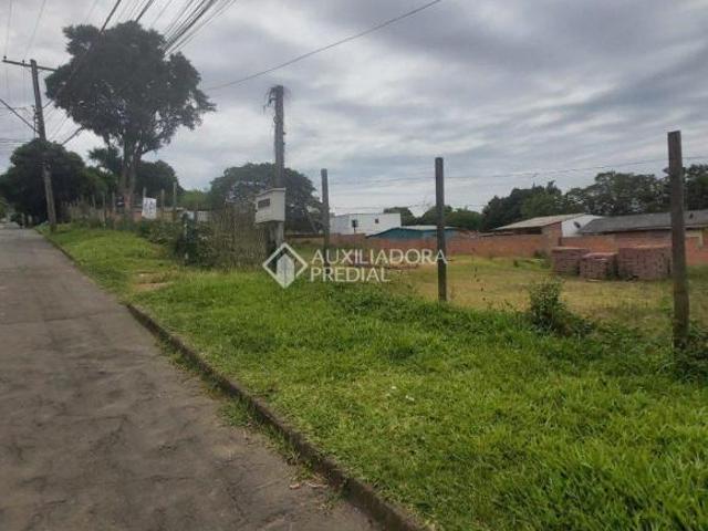 Terreno Pré Venda no bairro Tristeza