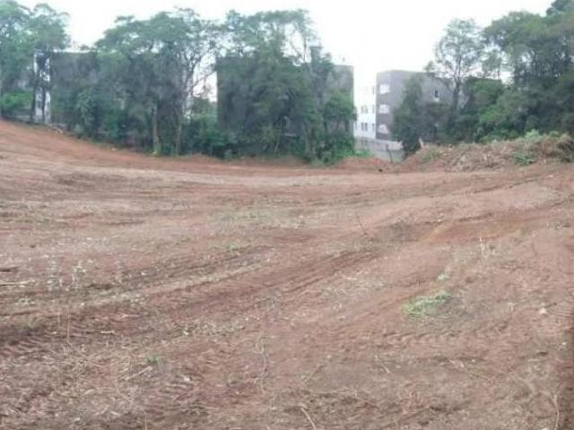 Terreno Premium no Bairro Costeira com Potencial para 180 Apartamentos