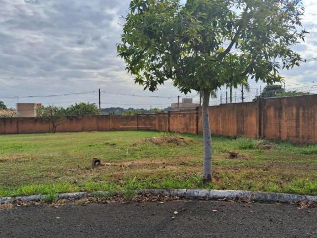 Terreno pronto para construir