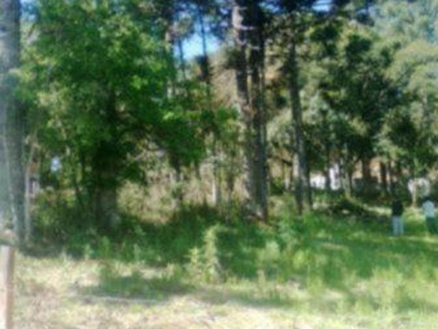 TERRENO PRONTO PARA CONSTRUIR COM INFRAESTRUTURA CAXIAS DO SUL