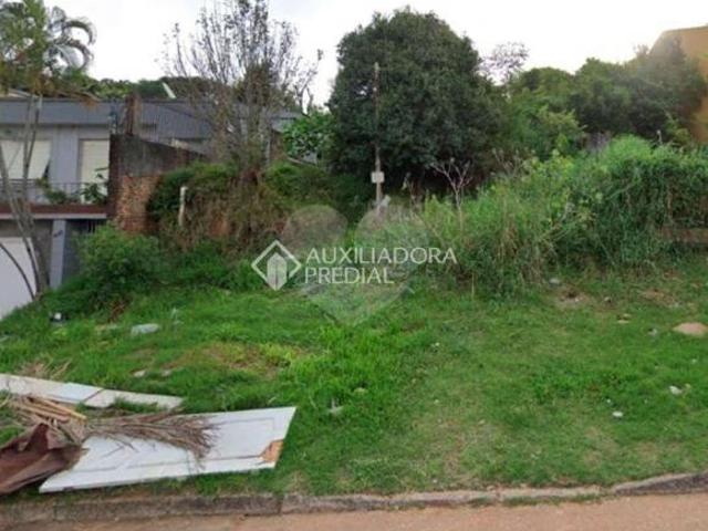 TERRENO PROXIMO A PROTASIO ALVES