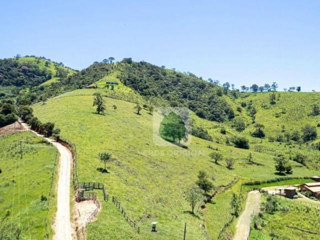 Terreno próximo ao centro à venda, 59100 m² por R$ 2.000.000 Pinheiros São Bento do Sapucaí/SP