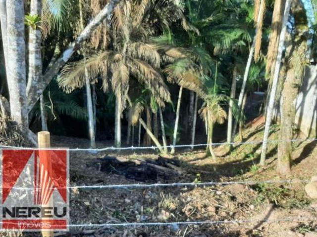 TERRENO PRÓXIMO AO CENTRO DA CIDADE EM JUQUITIBA/SP