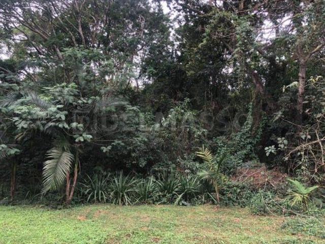 Terreno próximo ao centro de Ibiúna!