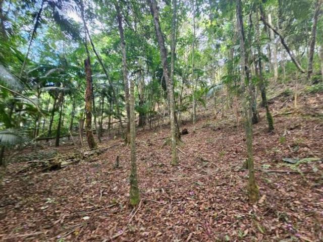 Terreno próximo ao centro de Juquitiba