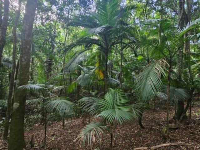 Terreno próximo ao centro de Juquitiba