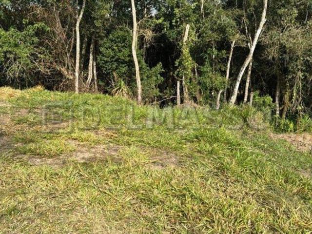 Terreno próximo ao asfalto com 12.000 m²!