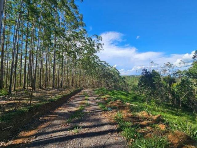 Terreno próximo ao asfalto com lago em Juquitiba
