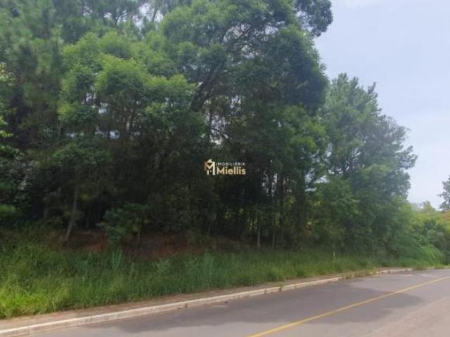 TERRENO PRÓXIMO AO LAGO TARUMÃ VIAMÃO RS
