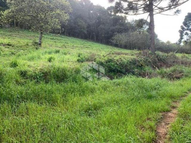 Terreno próximo ao parque da Fenchamp na BR 470 em Garibaldi