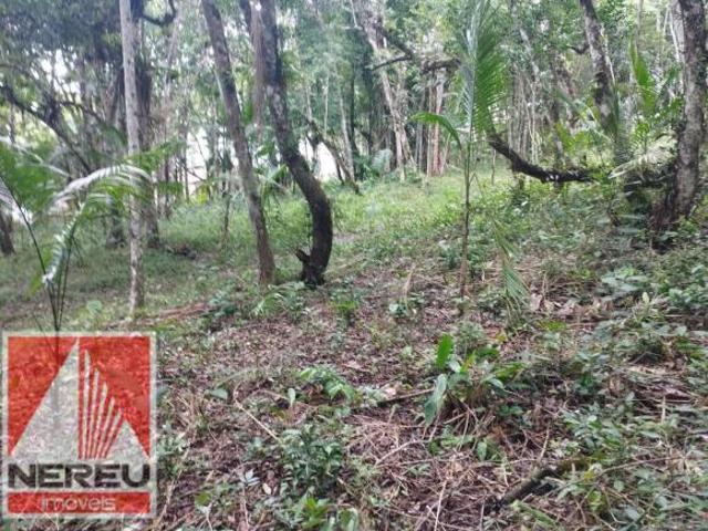 TERRENO PRÓXIMO DO CENTRO DA CIDADE DE JUQUITIBA/SP