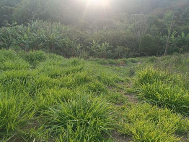 TERRENO PRÓXIMO DO CENTRO DE MOEDA 12 MIL M2