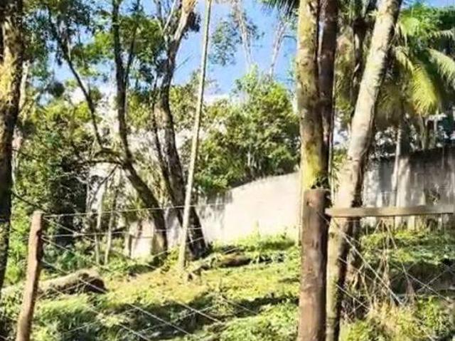 TERRENO PRÓXIMO DO CENTRO DE SÃO LOURENÇO DA SERRA 69 MIL