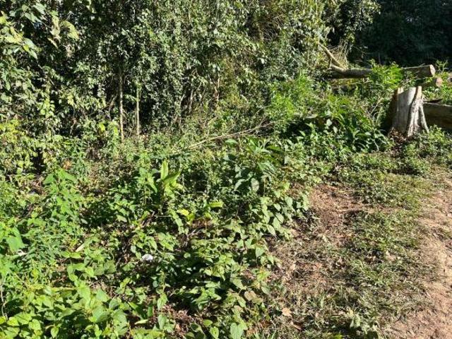 TERRENO PRÓXIMO DO CENTRO DE SÃO LOURENÇO DA SERRA