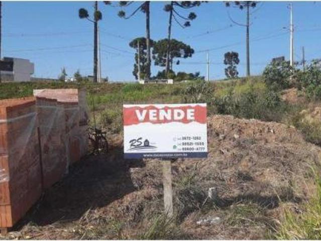 TERRENO QUATRO BARRAS PR