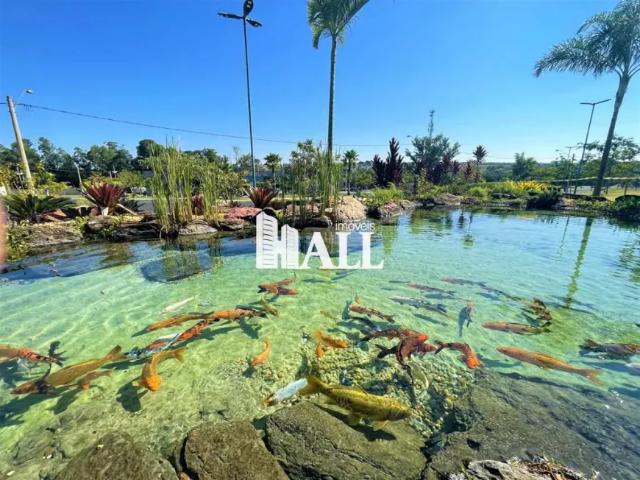 Terreno, Quinta do Lago, Rio Preto Cod: 16289