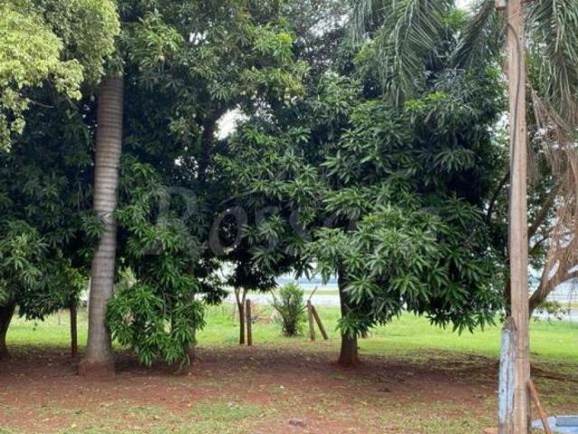 Terreno em Rubinéia/SP
